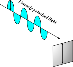 Polarization Of Light - Unifyphysics